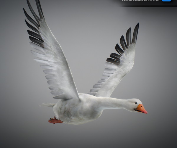 ArtStation - Animated Geese | Resources