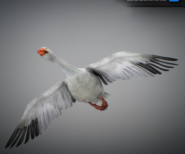ArtStation - Animated Geese | Resources