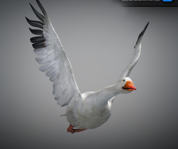 ArtStation - Animated Geese | Resources