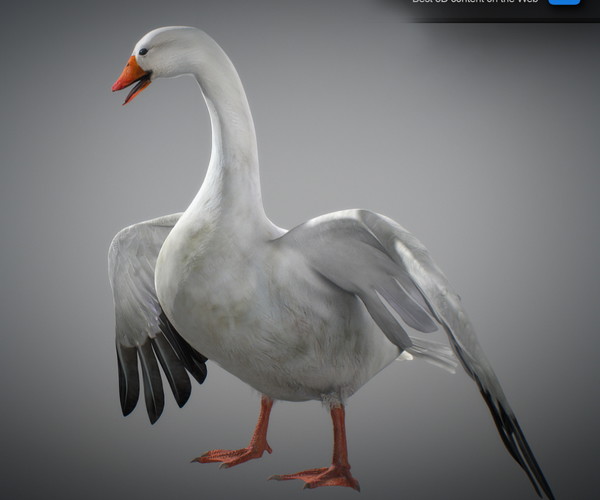 ArtStation - Animated Geese | Resources