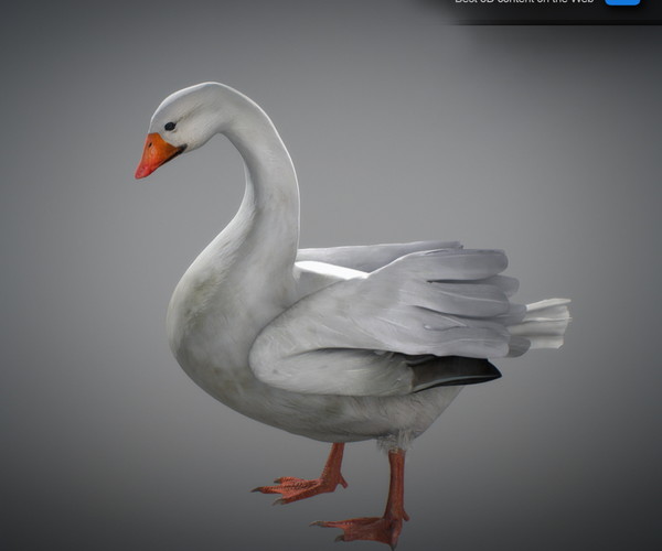 ArtStation - Animated Snow Goose | Resources