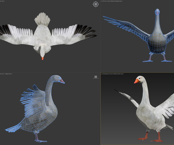 ArtStation - Animated Snow Goose | Resources