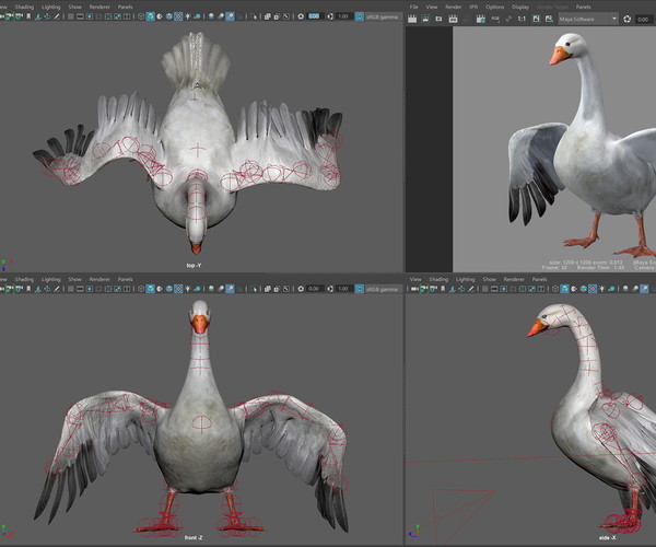 ArtStation - Animated Snow Goose | Resources