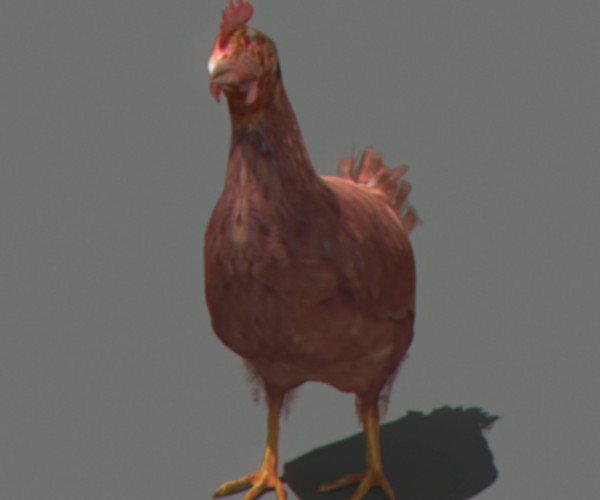 ArtStation - Animated Chicken | Resources