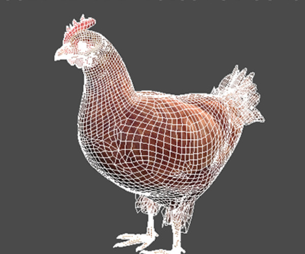 ArtStation - Animated Chicken | Resources