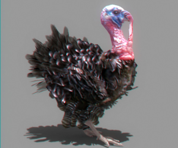 ArtStation - Turkey | Game Assets