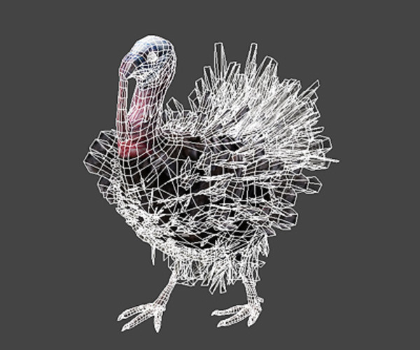 ArtStation - Turkey | Game Assets