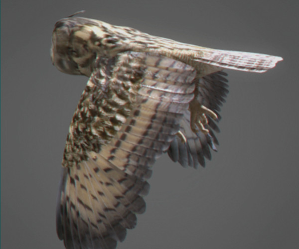 ArtStation - Animated Owl | Resources