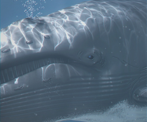 ArtStation - Animated Whale | Resources