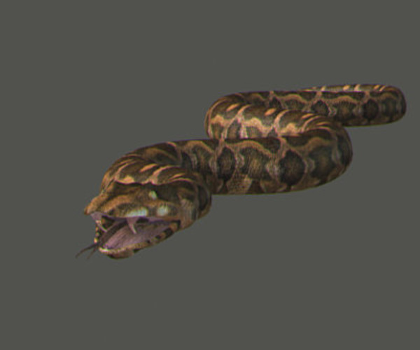 ArtStation - Pack – Snakes | Game Assets