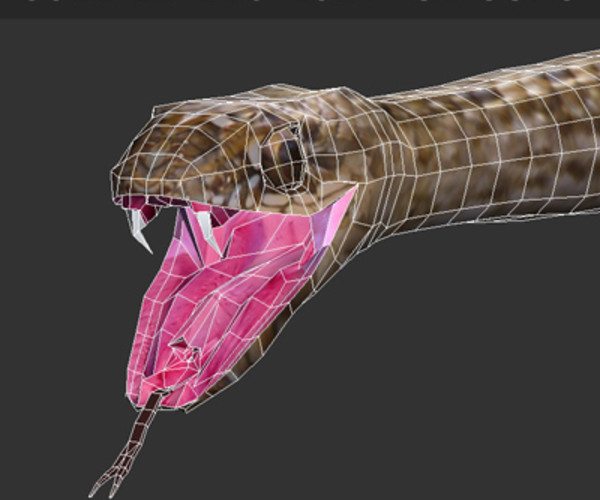 ArtStation - Pack – Snakes | Game Assets