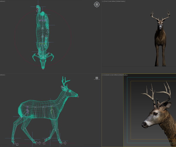 ArtStation - Animated Deer | Game Assets
