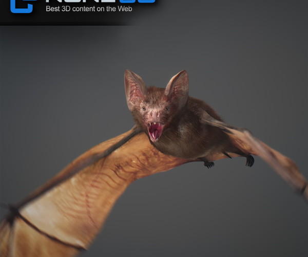 ArtStation - Vampire Bat | Game Assets