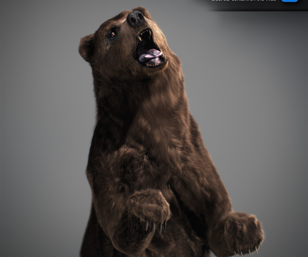 ArtStation - Animated Grizzly Bear | Resources