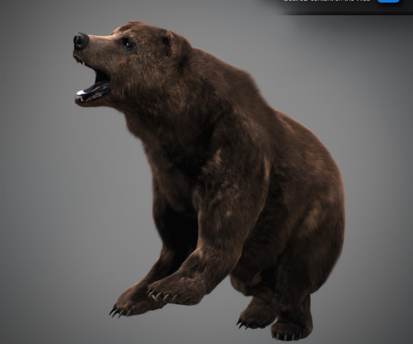 ArtStation - Animated Grizzly Bear | Resources