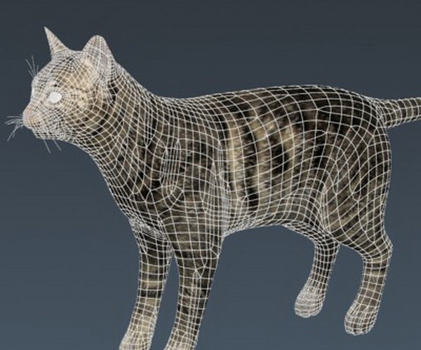 ArtStation - Rigged Domestic Cat | Game Assets