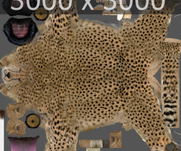 ArtStation - Animated Cheetah | Game Assets