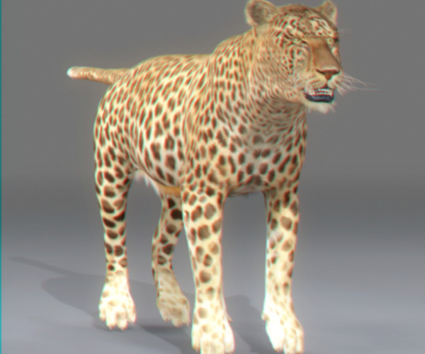 ArtStation - Leopard | Game Assets