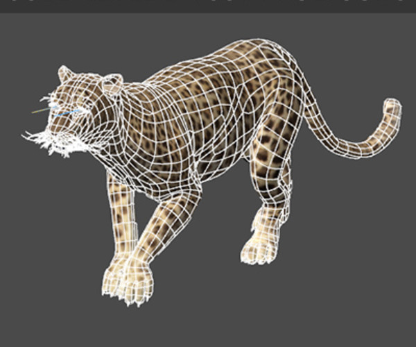 ArtStation - Leopard | Game Assets