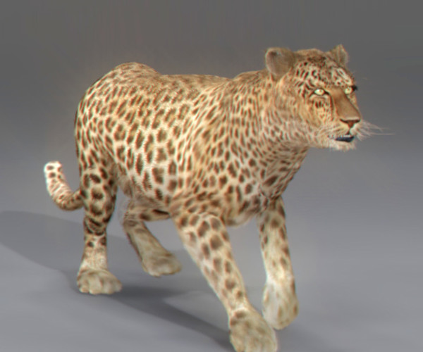 ArtStation - Animated Leopard | Game Assets
