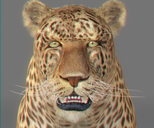 ArtStation - Animated Leopard | Game Assets