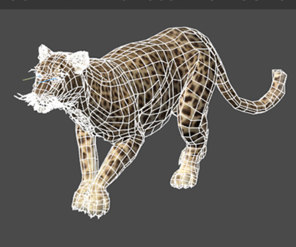 ArtStation - Animated Leopard | Game Assets