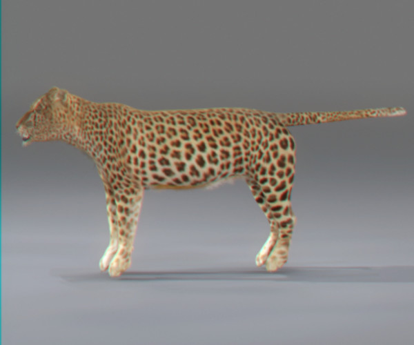 ArtStation - Leopard | Game Assets