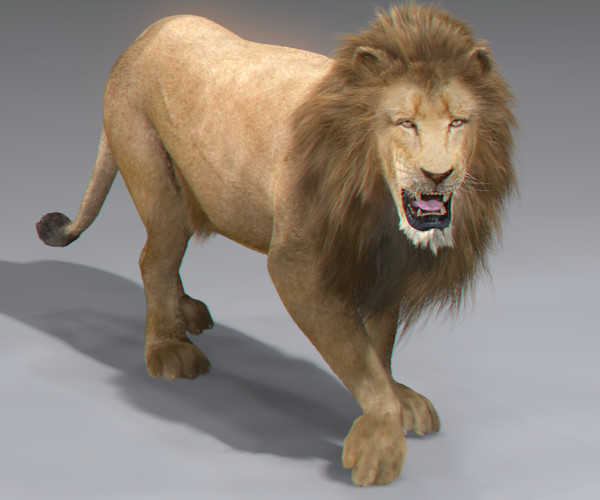 ArtStation - Animated Lion | Resources