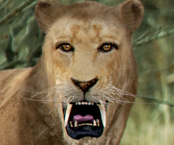 ArtStation - Animated SabreTooth | Game Assets