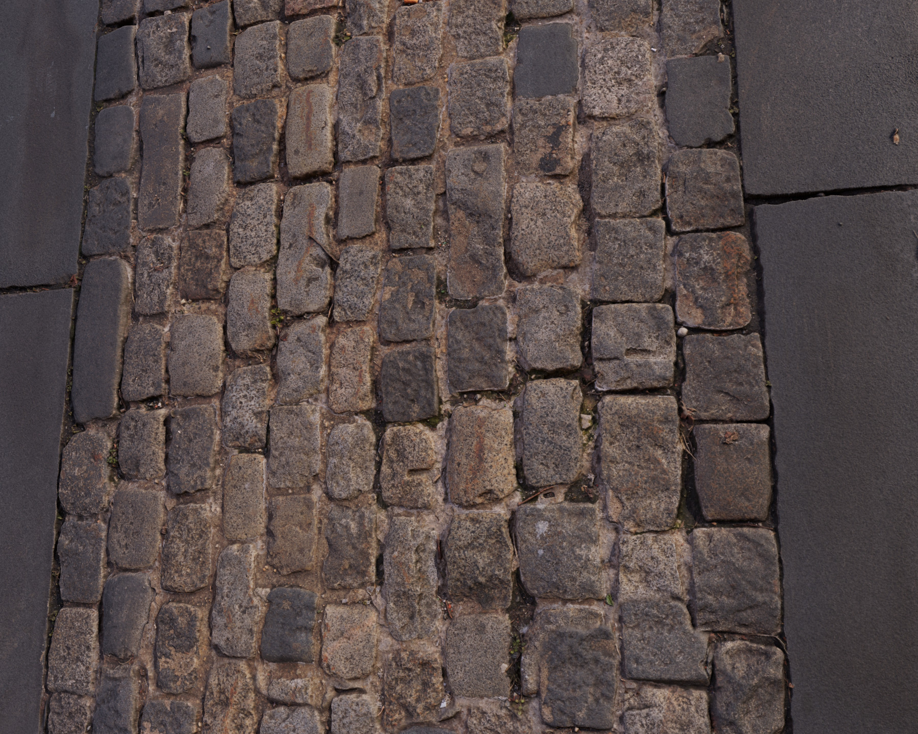 ArtStation - Philly Cobbled Street Material | Resources