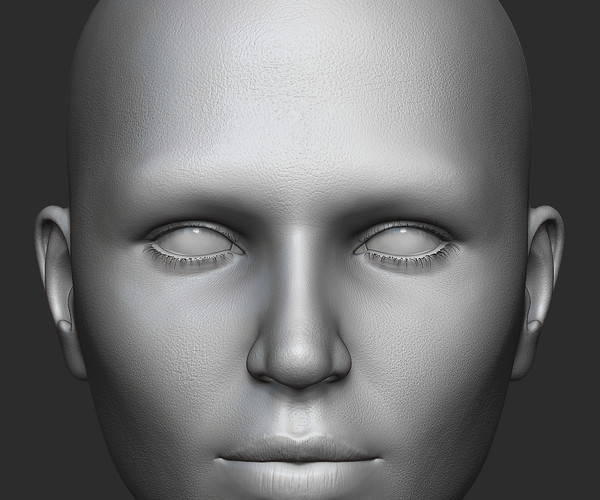 ArtStation - Realistic Female Head 3D Model | Resources