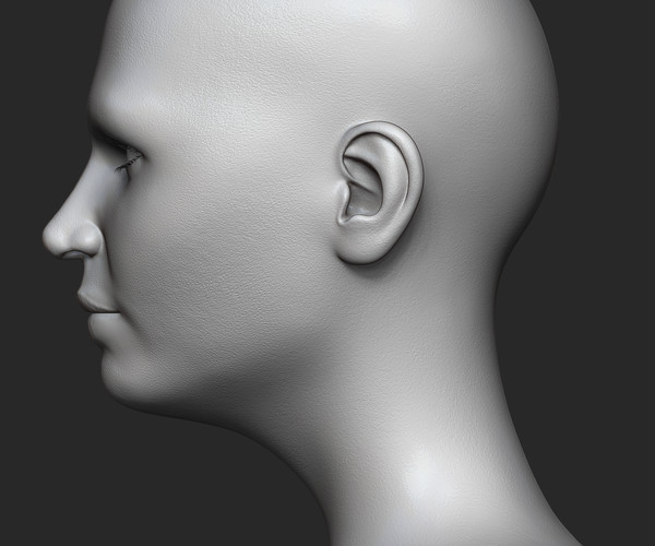 ArtStation - Realistic Female Head 3D Model | Resources