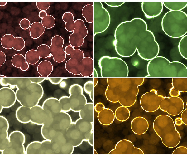 ArtStation - 20 Luminescent Cells Backgrounds | Artworks