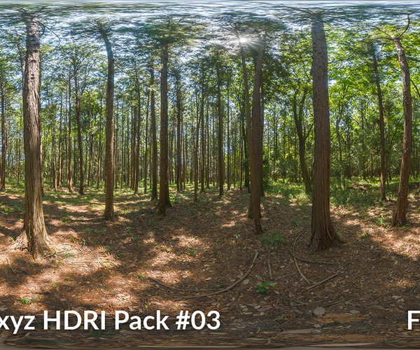 ArtStation - Forest #02 - 16K 32bit HDRI Spherical Panorama (from Pack ...