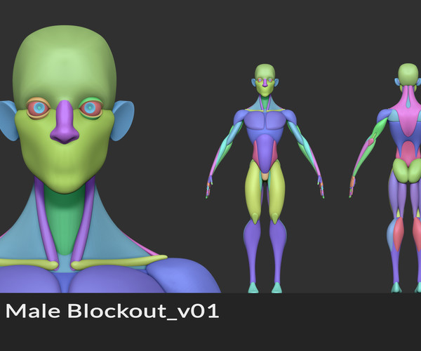 ArtStation - Stylized Male Blockout | Resources