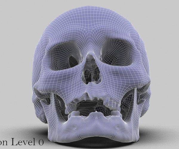 ArtStation - 3D Real Human Skull 3D Scan | Resources