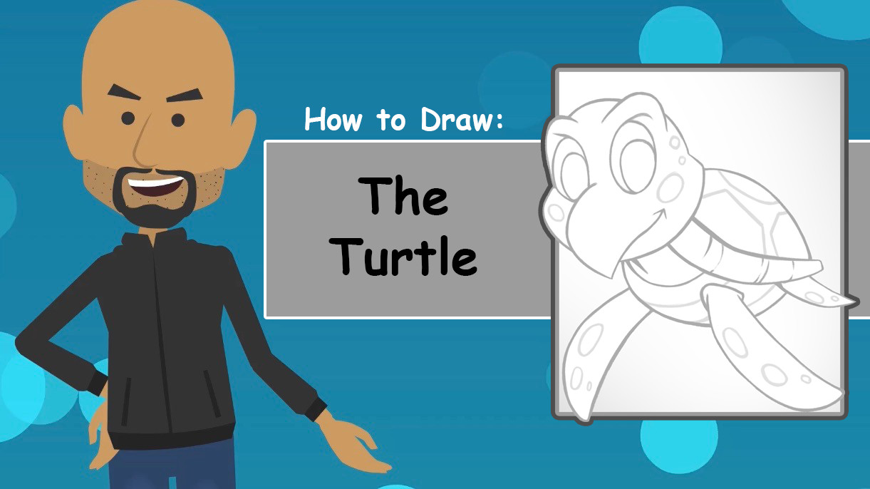 ArtStation - How To Draw The Turtle | Tutorials