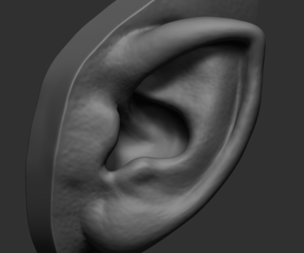 ArtStation - Elf Ear | Resources