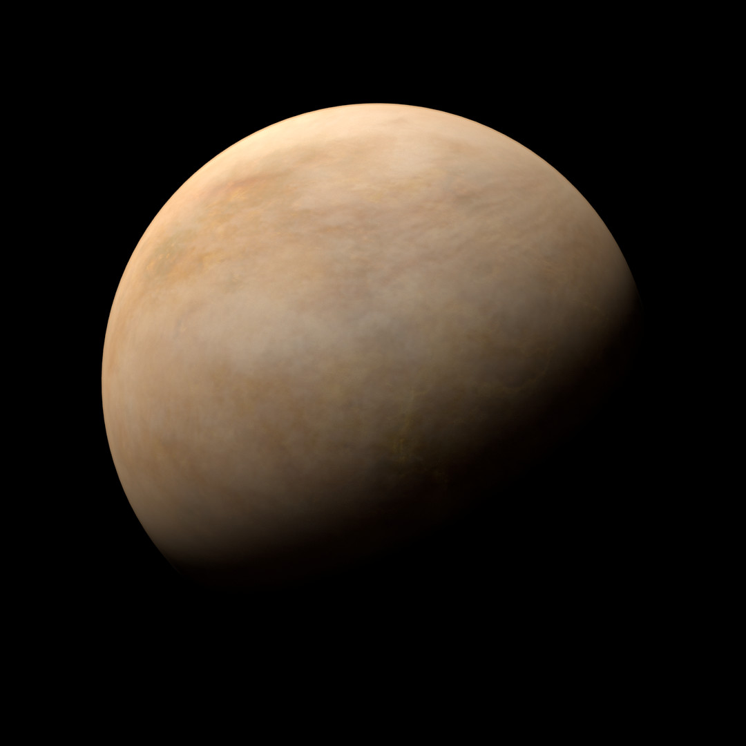 ArtStation - Realistic Venus 3D Model | Resources