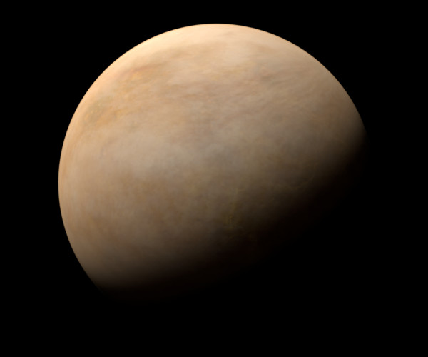 ArtStation - Realistic Venus 3D Model | Resources