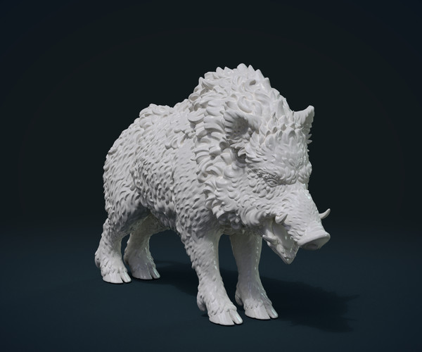 ArtStation - Wild Boar in static pose | Resources