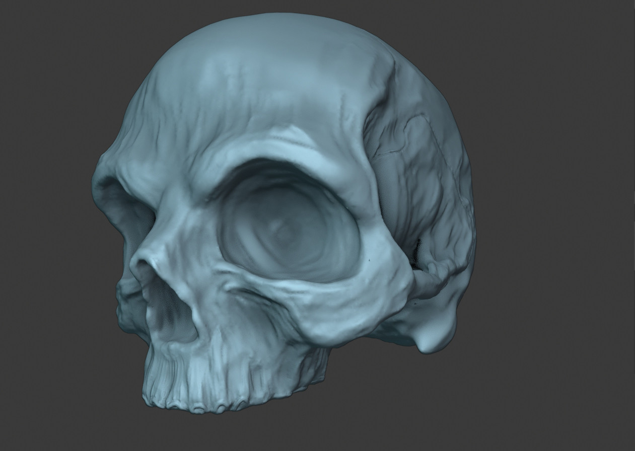 ArtStation - Human Male Skull | Resources