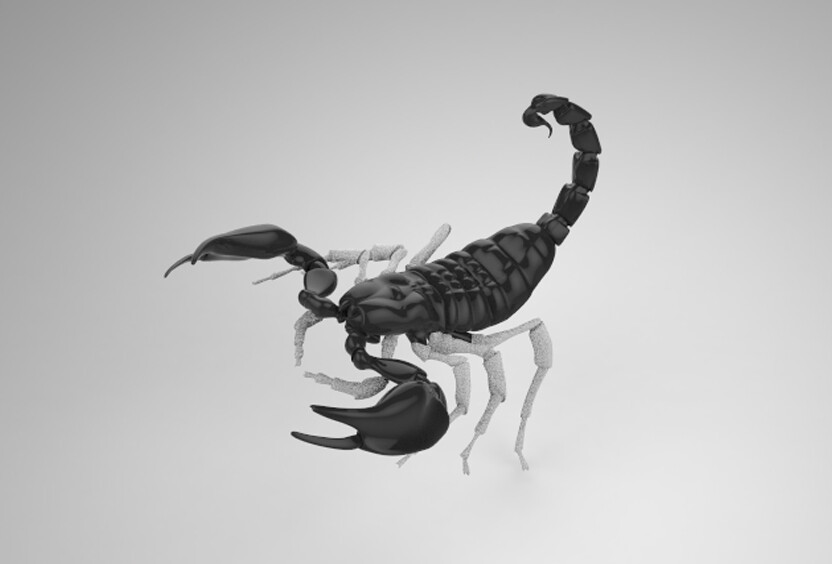 ArtStation - Scorpion | Artworks