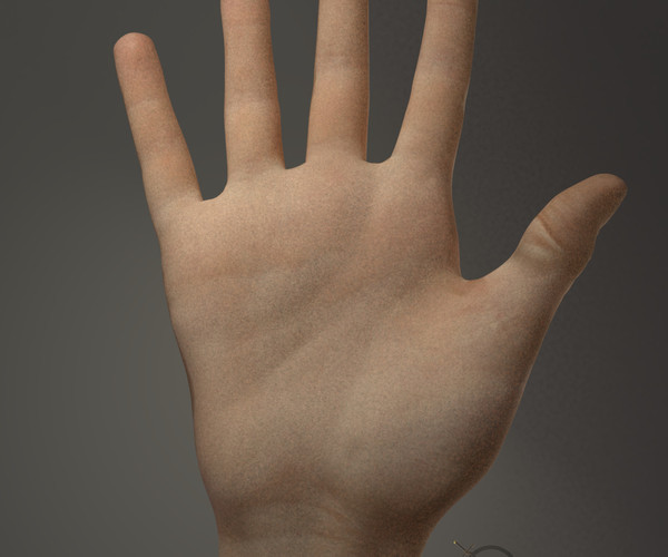 ArtStation - Hand | Resources