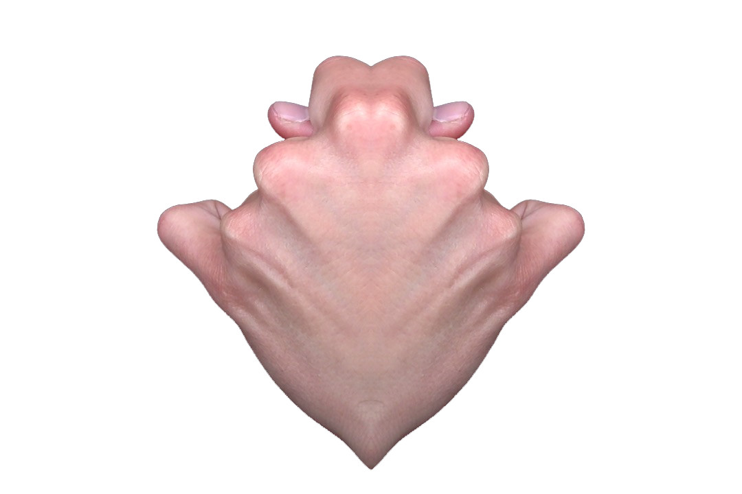 ArtStation - Pack: Alien Shapes | Resources