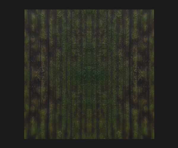 ArtStation - Mossy wood pbr texture | Resources