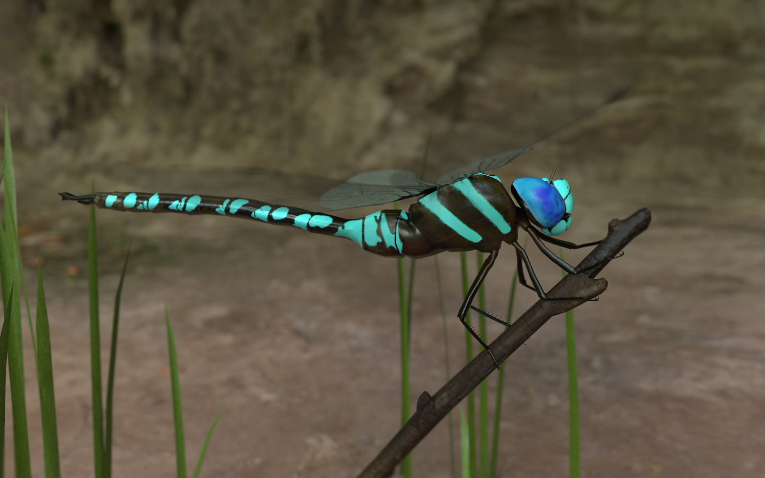 ArtStation - Dragonfly (Realistic and Cartoon) | Resources