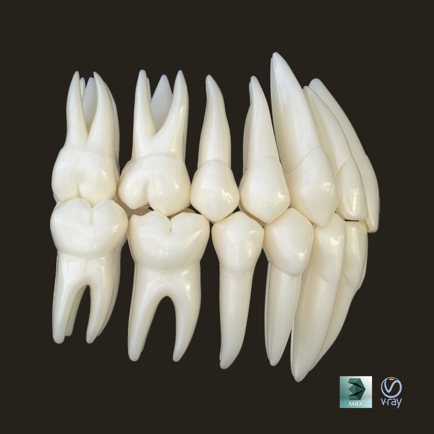 ArtStation - Teeth 3D Print and Render. | Resources