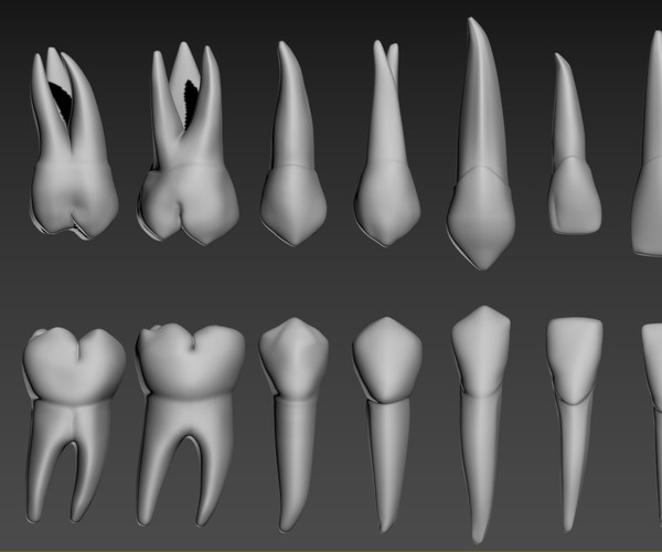 ArtStation - Teeth 3D Print and Render. | Resources