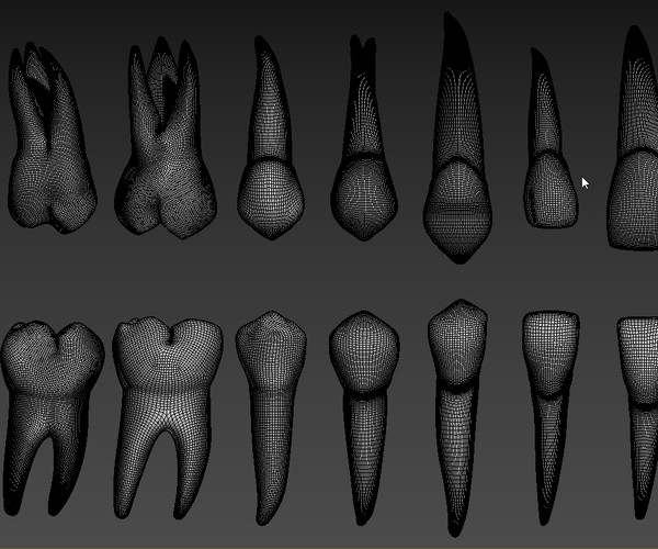 ArtStation - Teeth 3D Print and Render. | Resources